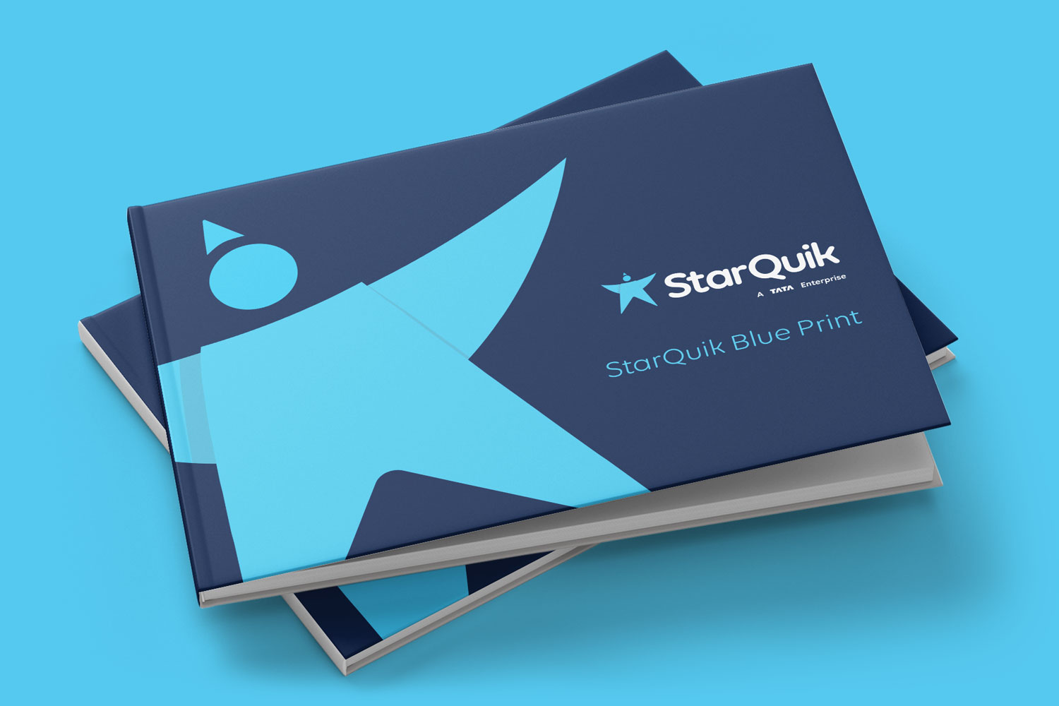 Defining the Brand Personality and the Brand Communication for the ...